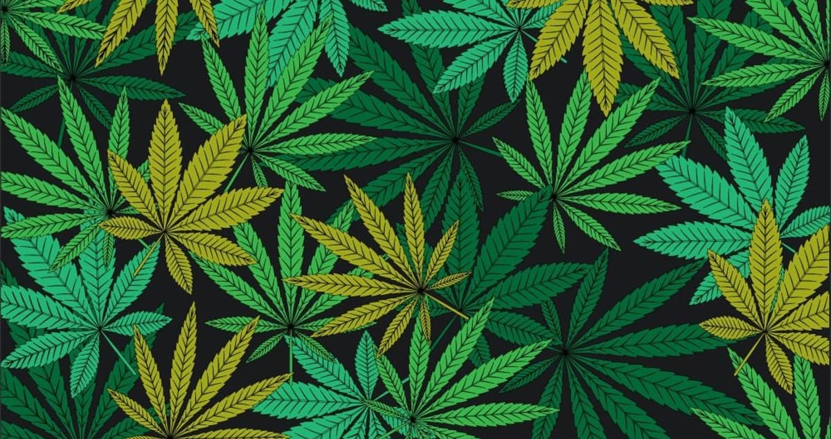 Cannabis Culture’s Changing. Marketers Need to Adapt. | Built In Colorado