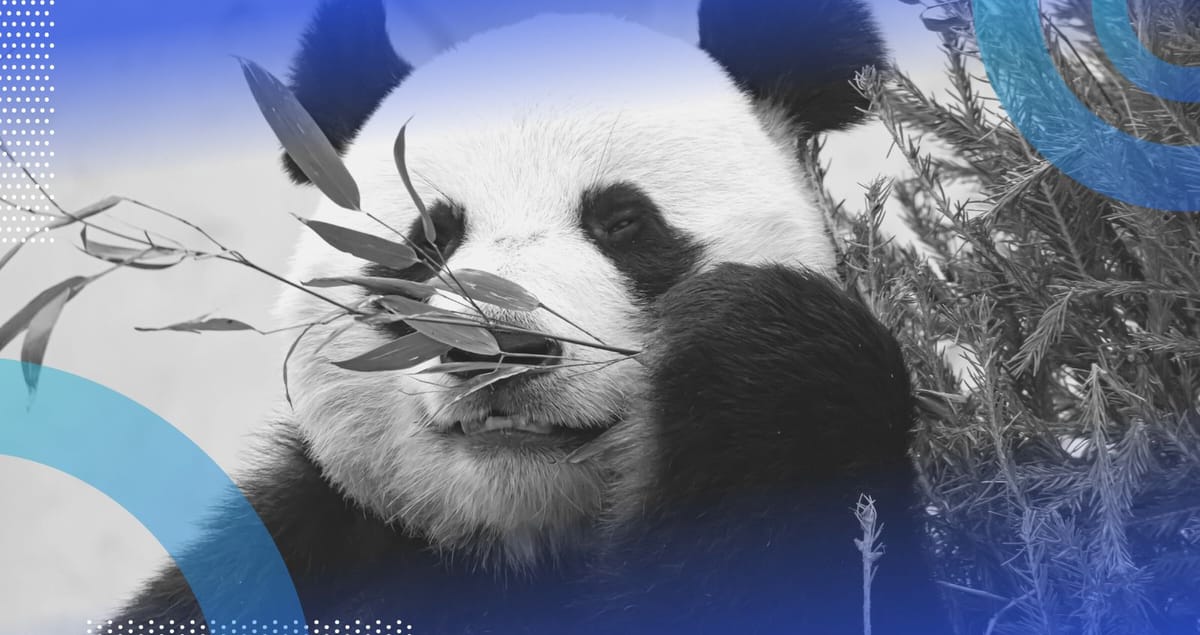 How to Filter Pandas DataFrames | Built In How to Filter Pandas DataFrames | Built In