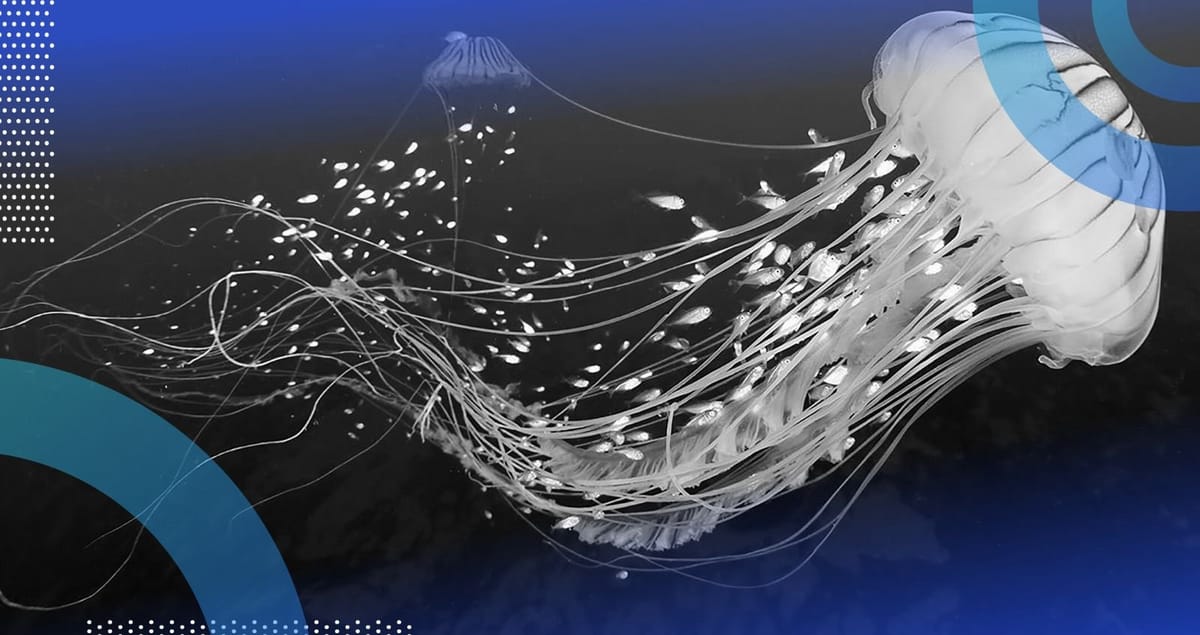 Stratified Sampling: An Introduction With Examples | Built In