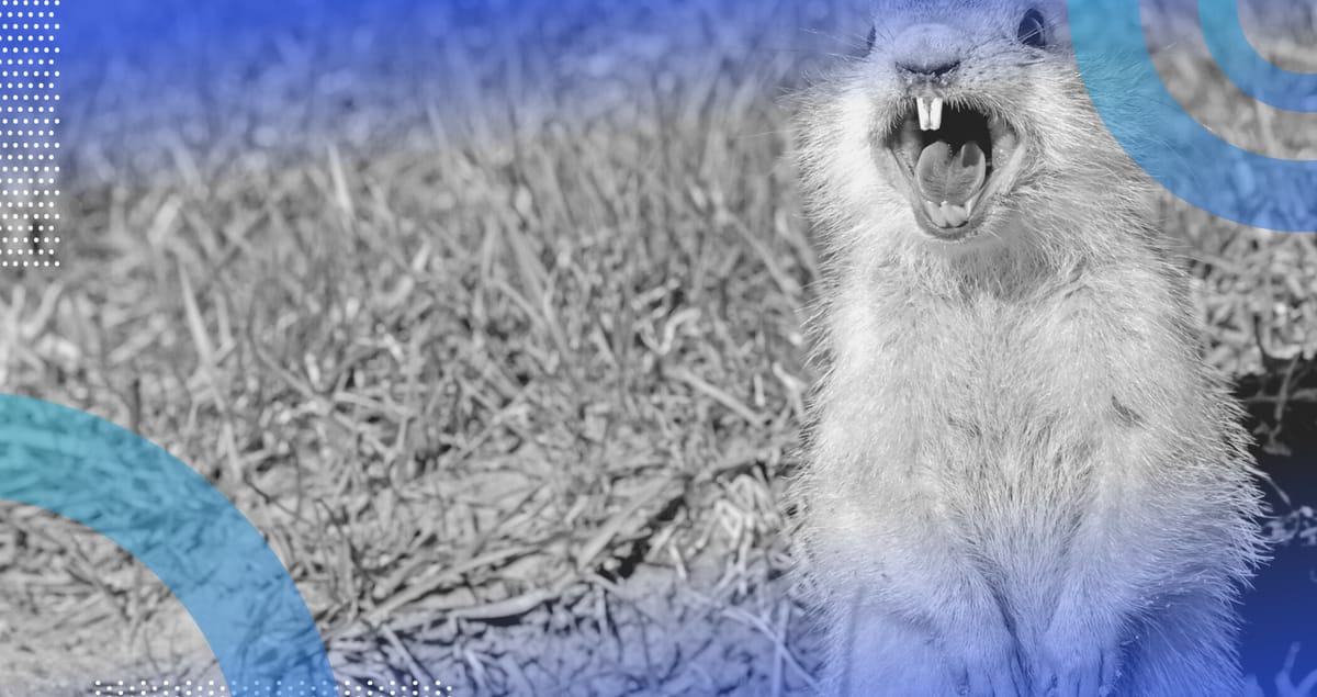 What Is Golang Definition Features Vs Python Built In