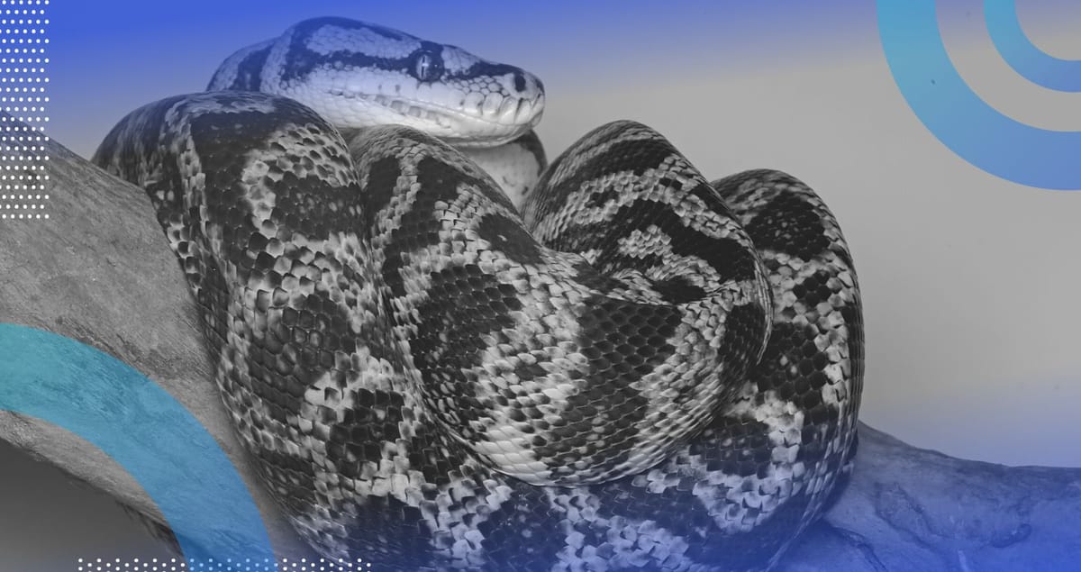 Guide To Python Logging Built In