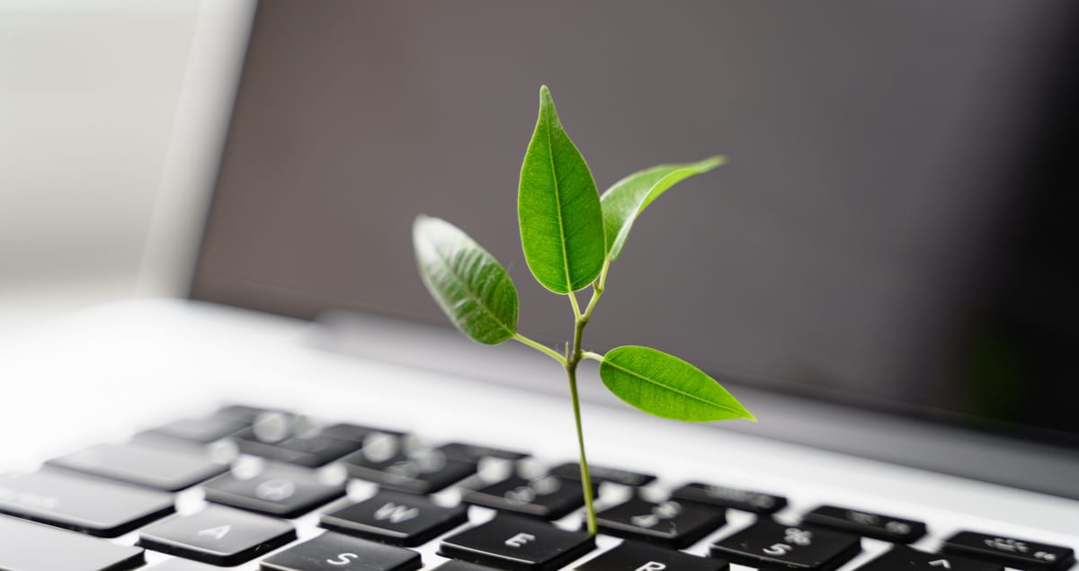 Springing into Success: How Robust Onboarding Sets the Foundation for ...