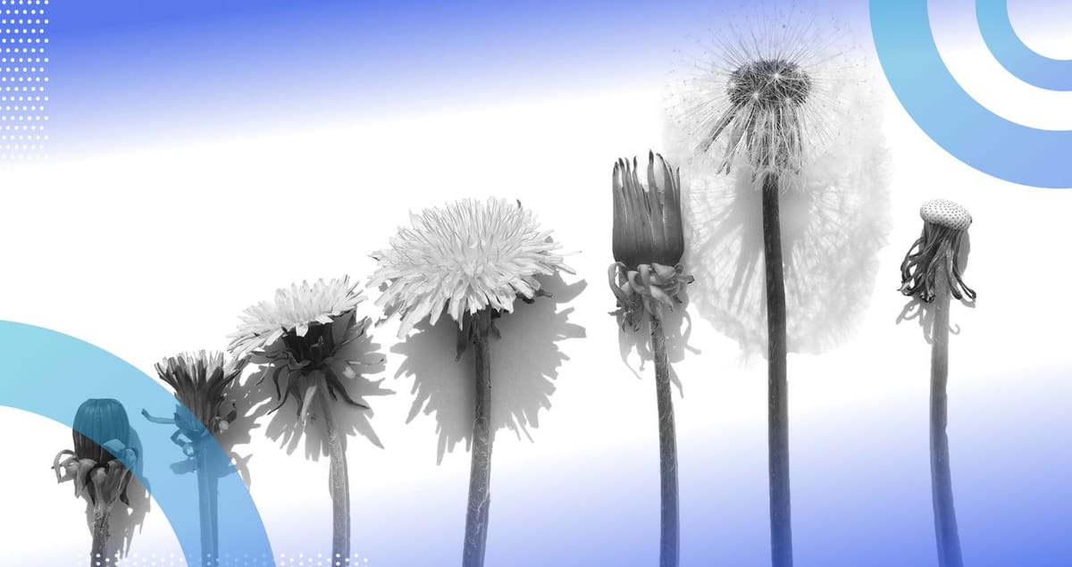 What Are the 3 Stages of the Data Life Cycle? | Built In