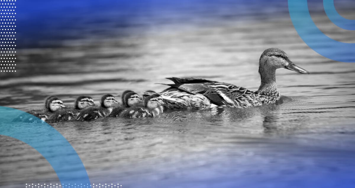 Python Duck Typing Explained | Built In Python Duck Typing Explained | Built In