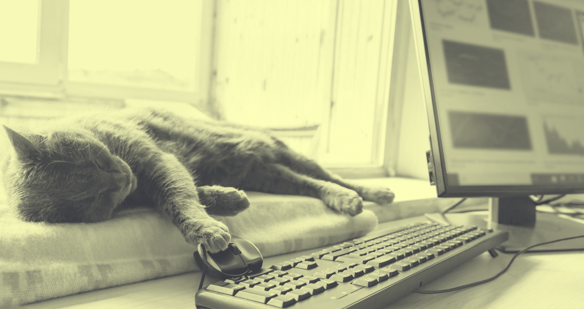 The 3 Biggest Struggles of the Remote Worker — and How to Fix Them ...