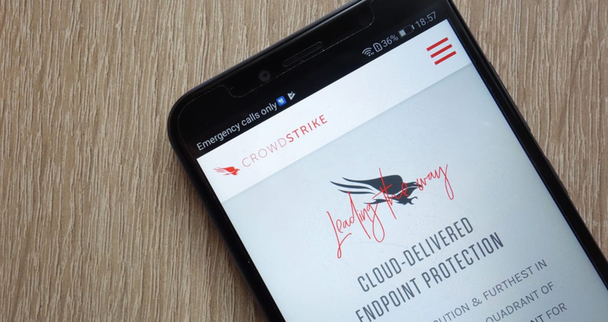 Cybersecurity unicorn CrowdStrike announces share price for future IPO ...