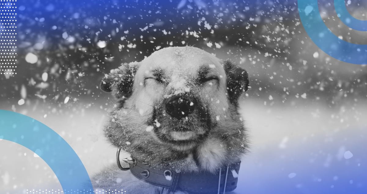 What Is Snowflake Data Warehouse? A Tutorial | Built In