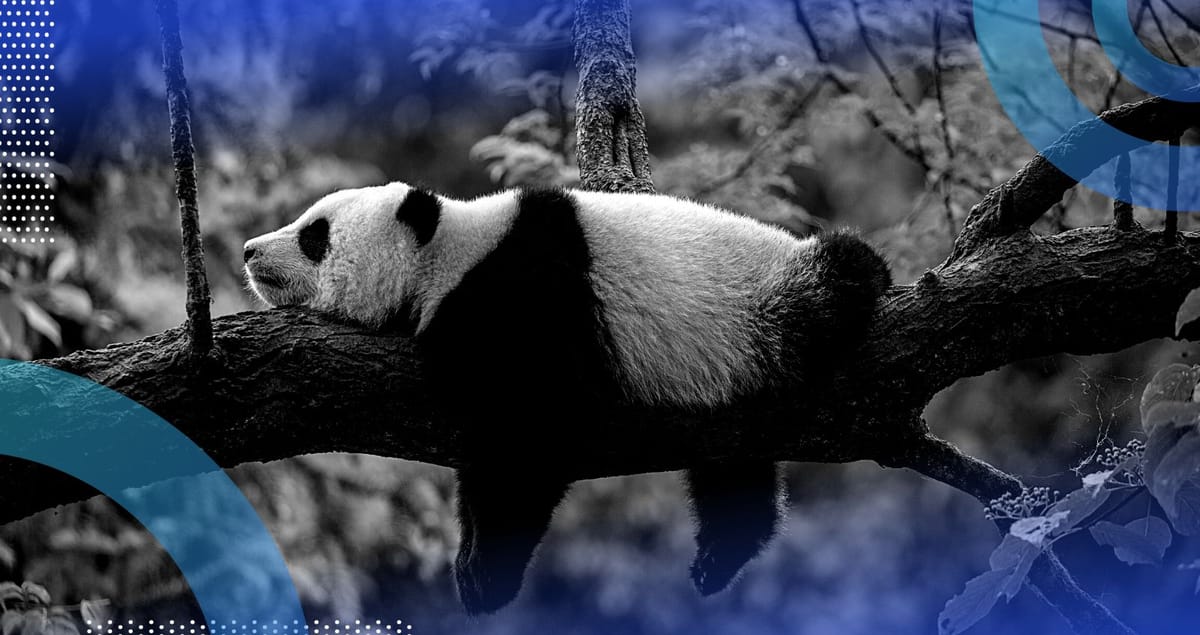 How To Rename Columns In Pandas Built In