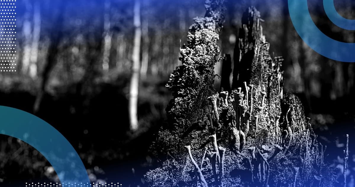 Eigendecomposition Explained | Built In