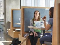 Atlassian Careers, Perks + Culture | Built In