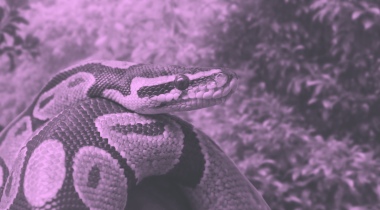 What Is Machine Learning? What Are Machine Learning Algorithms? What ...